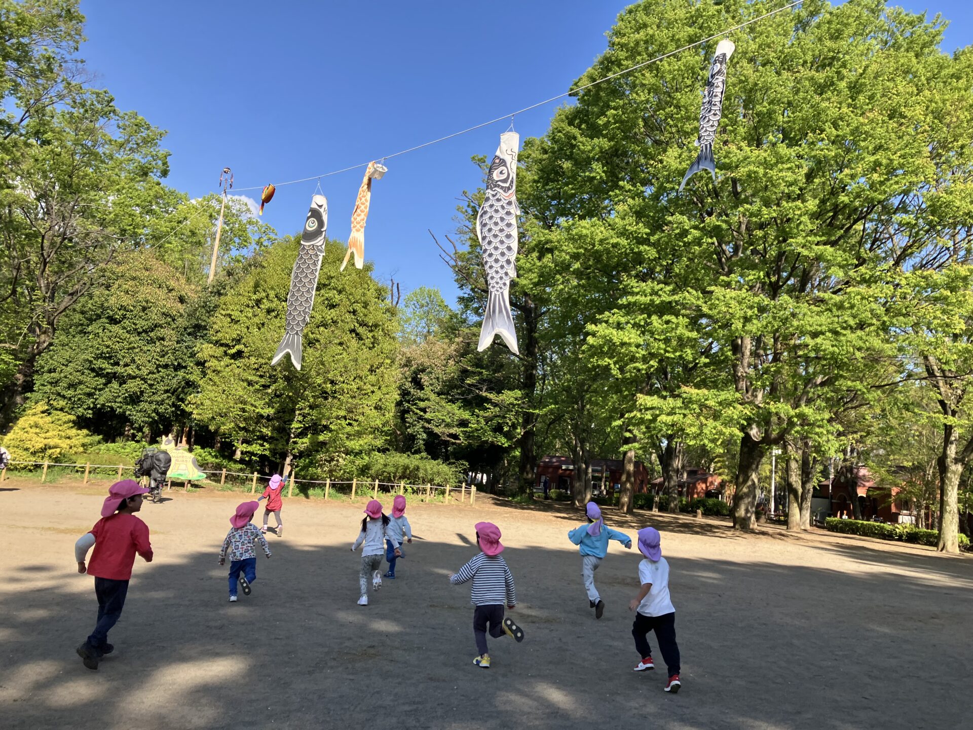 こいのぼりみっけ！ | アソシエブログ